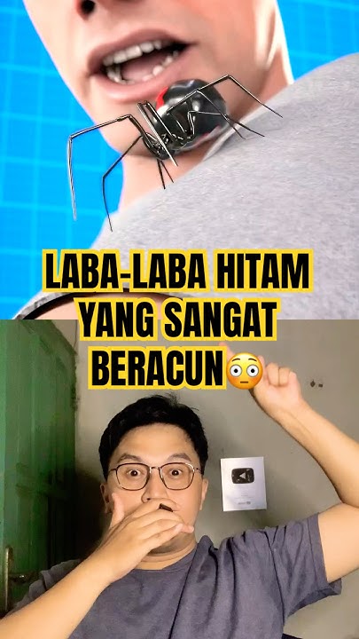 Laba-laba hitam yang beracun😳 #science #blackwidow #blackwidowmarvel # ...