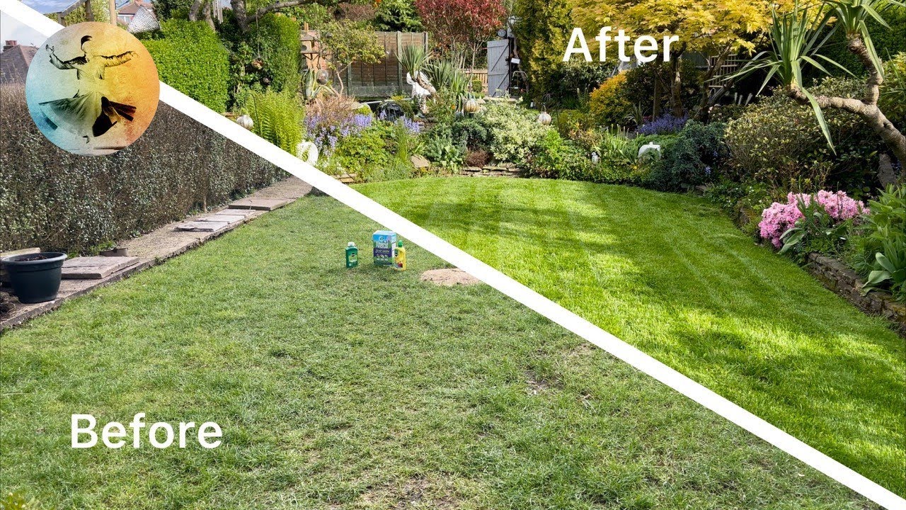 Repair Your Garden Lawn In Only Four Weeks (2021) | Malang Log Official ...