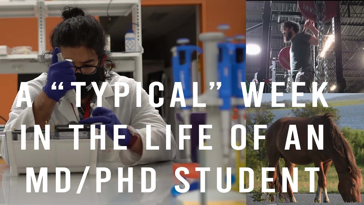 A "Typical" Week in the Life of MD PhD (medical and graduate) student ...