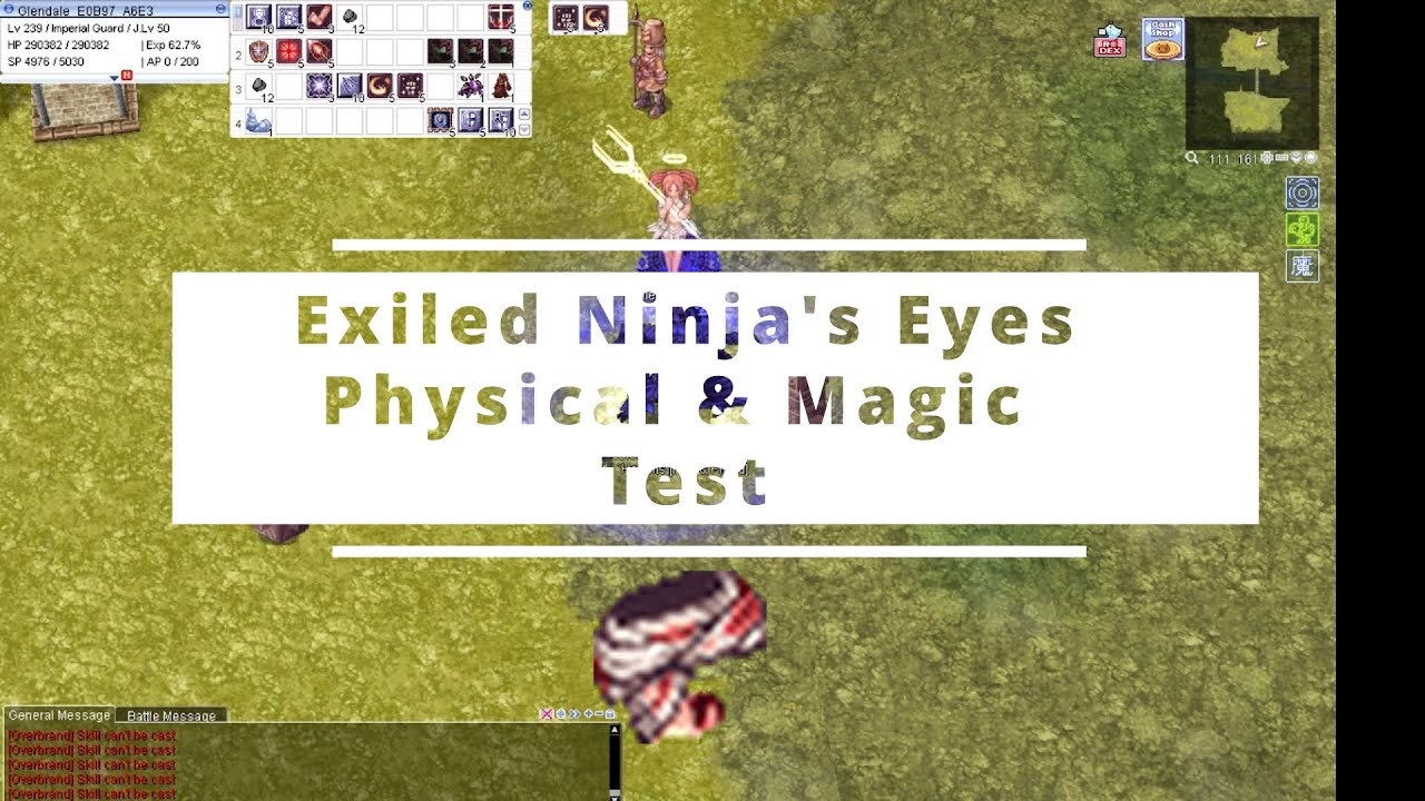 iRO: Exiled Ninja's Eyes - Physical & Magic test - YouTube