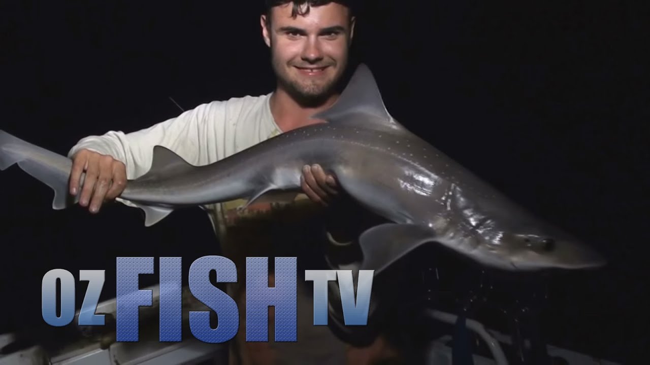 Oz Fish TV Season 3 Episode 5 - Boats, Banks and Kayaks - YouTube
