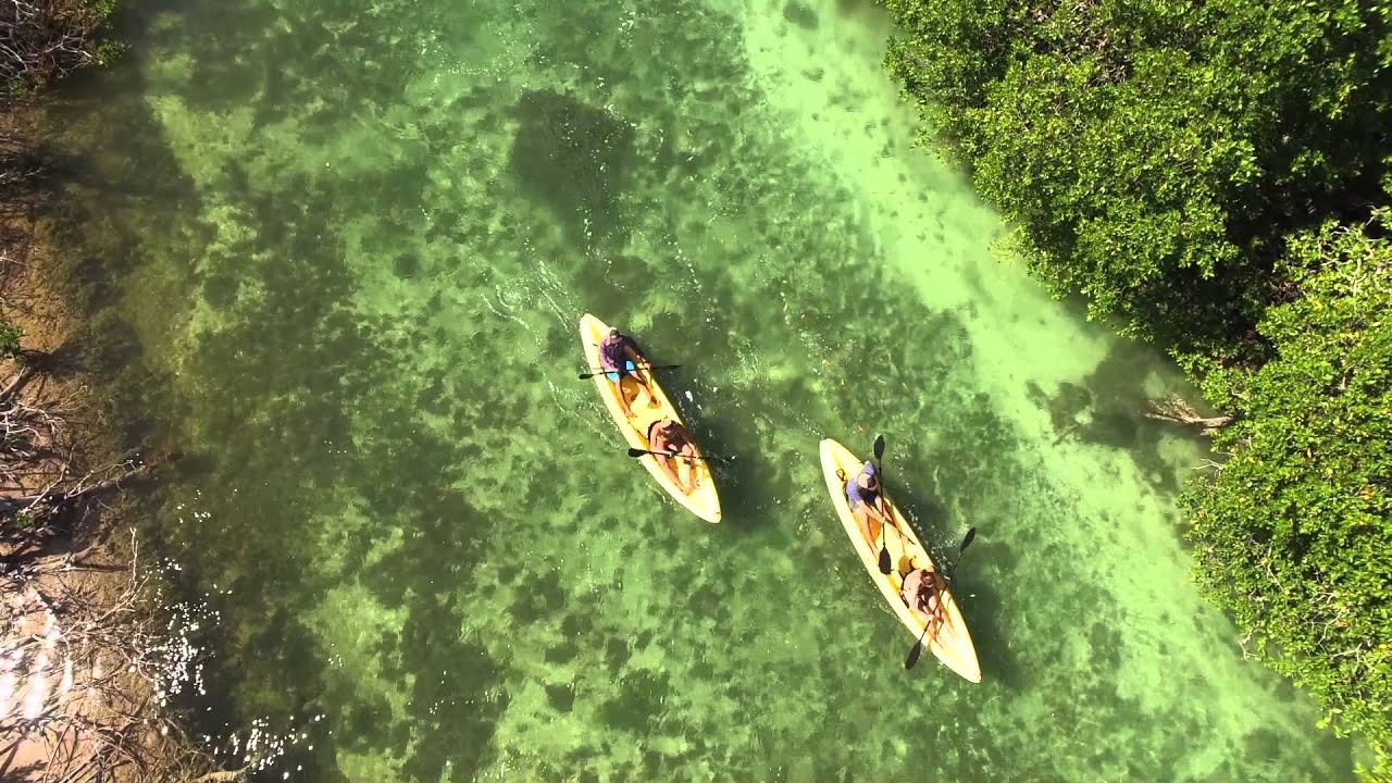 Kayaking in the Key West National Wildlife Refuge - YouTube