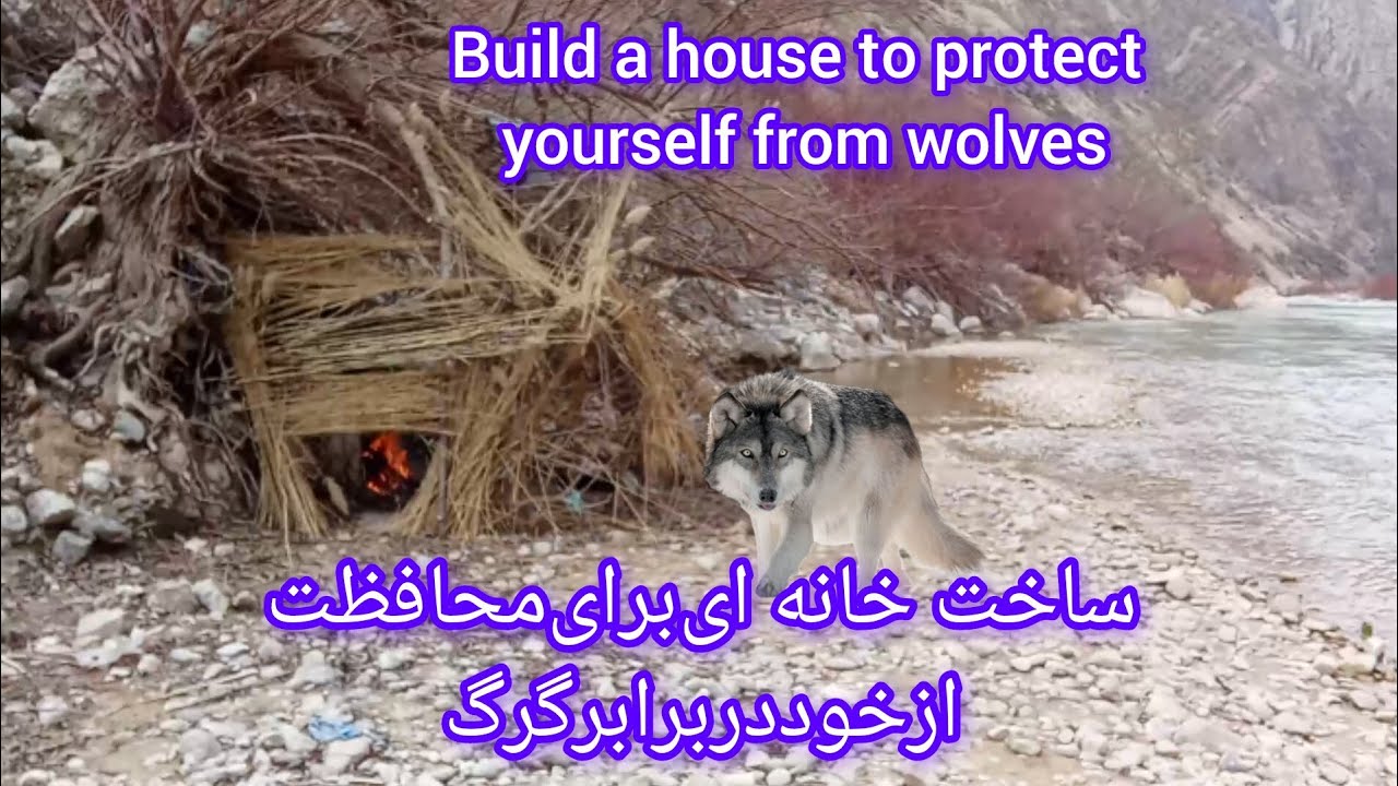 Build a house to protect yourself from wolves - YouTube