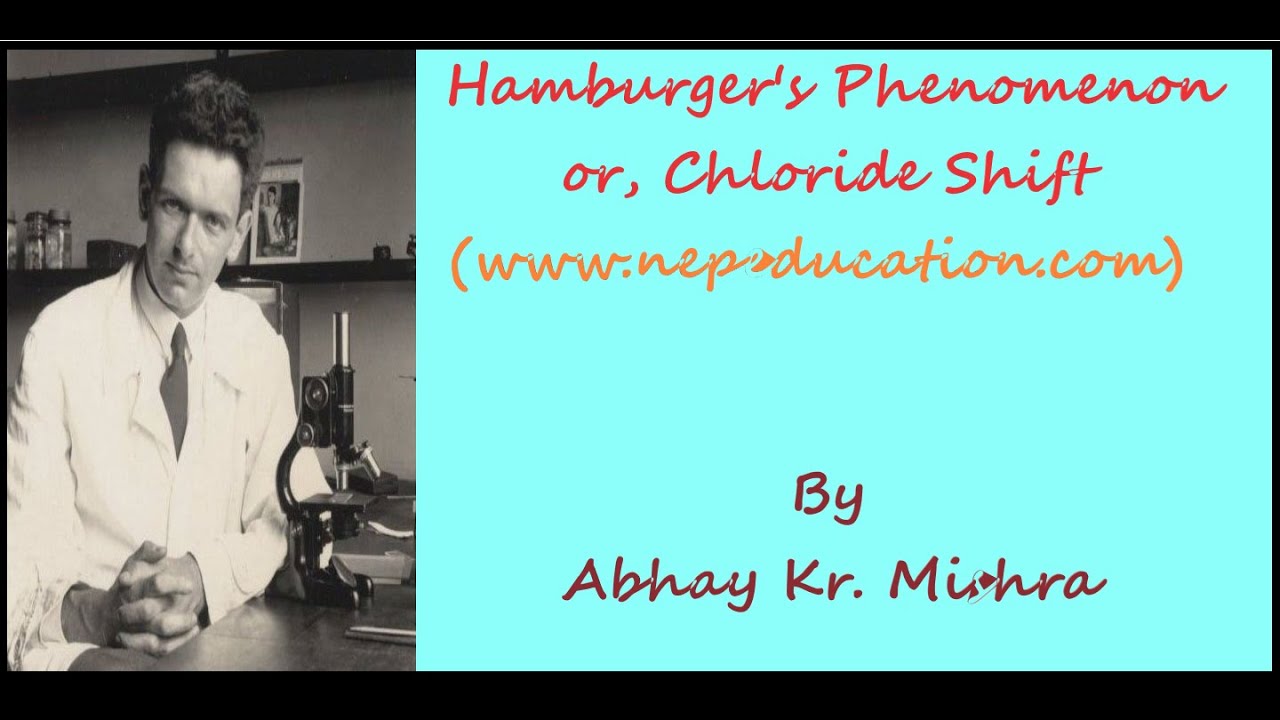 Chloride Shift - YouTube