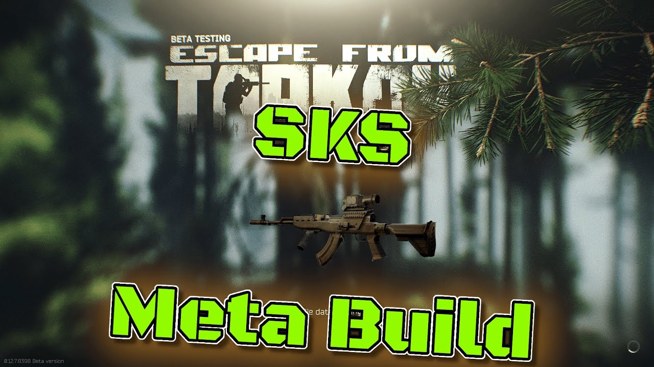 Escape from Tarkov - SKS Meta Build - YouTube