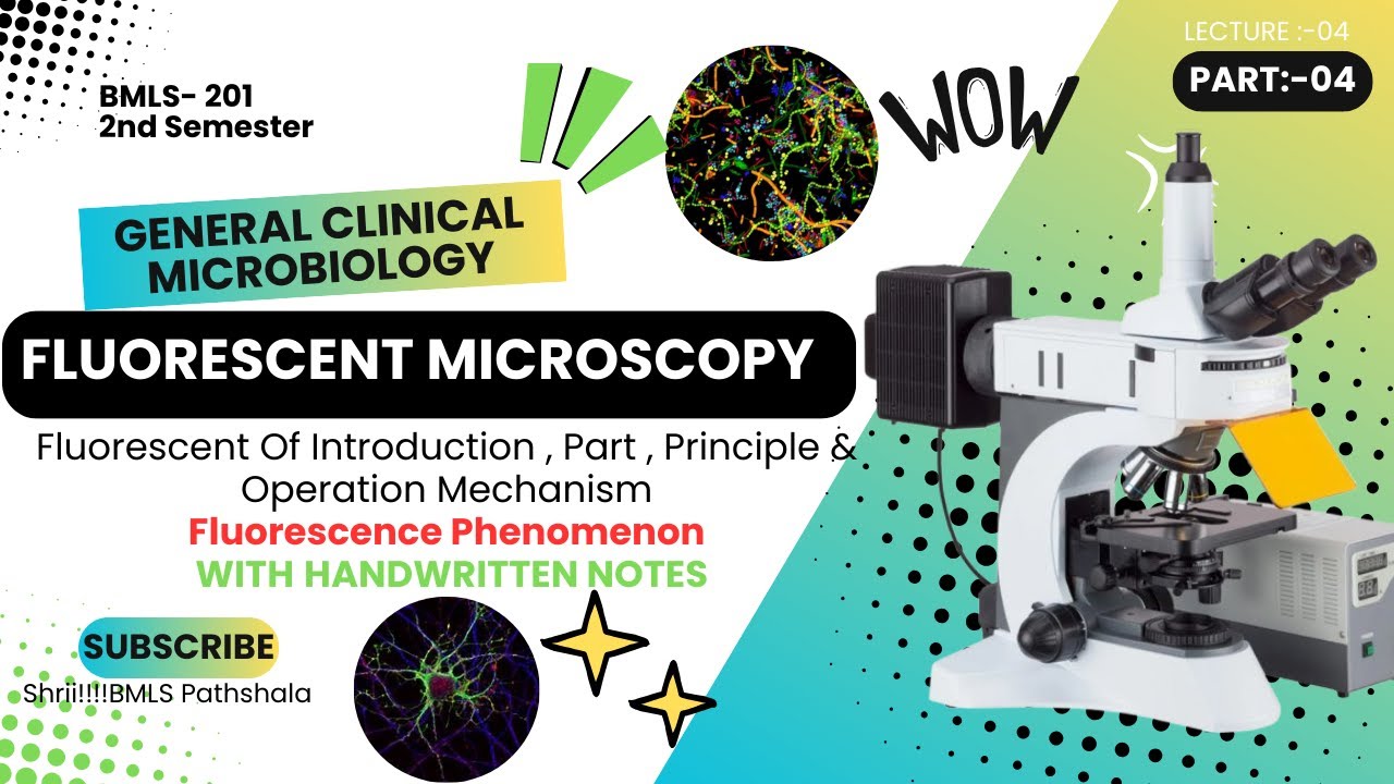 Fluorescent Microscopy |Fluorescence Phenomenon | Part Principle ...