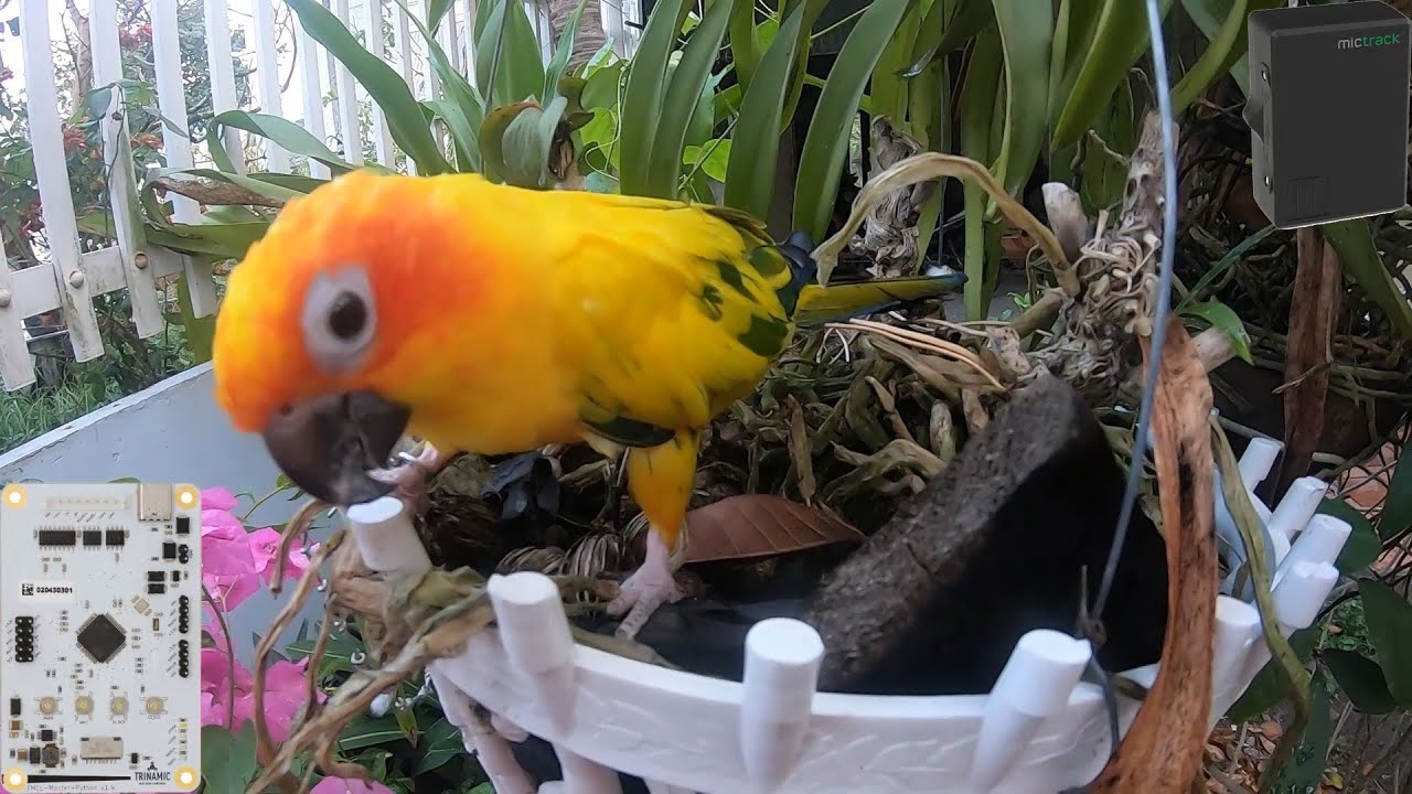 Parrot Thomas reviews Trinamic TMCM 0960 MotionPy and MicTrack MT700 ...