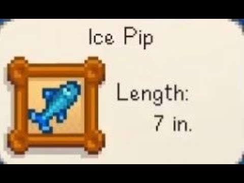 Where to catch the Ice Pip in Stardew Valley - YouTube