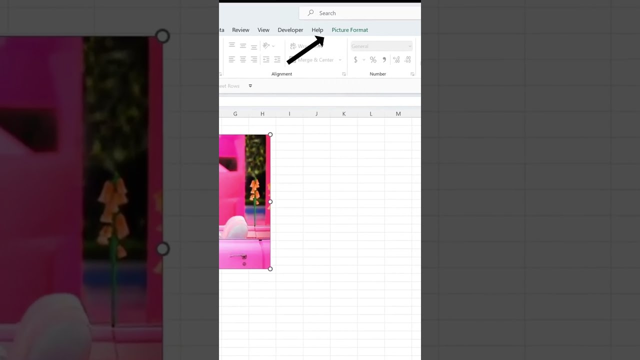 How To Remove Image Background In Excel exceltips excelformula How To Remove Image Background In Excel exceltips excelformula