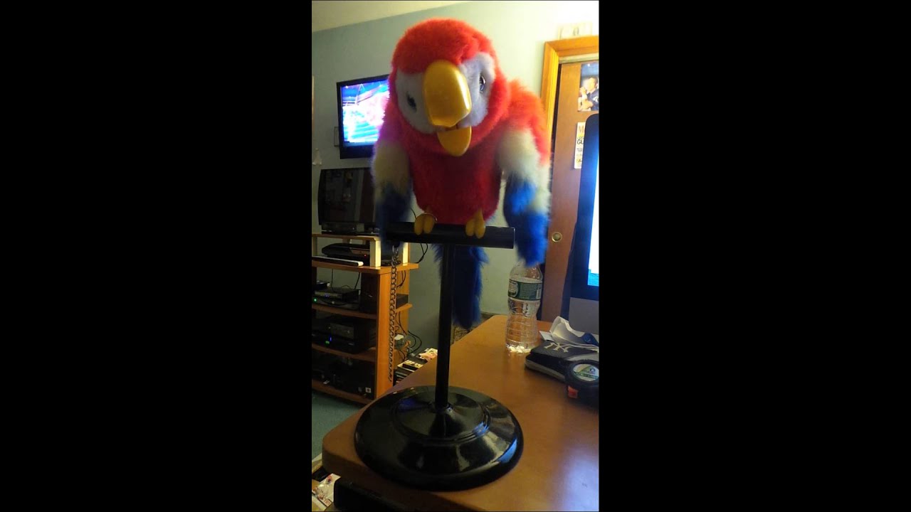 Iwaya Corp Toys Talking Parrot - YouTube