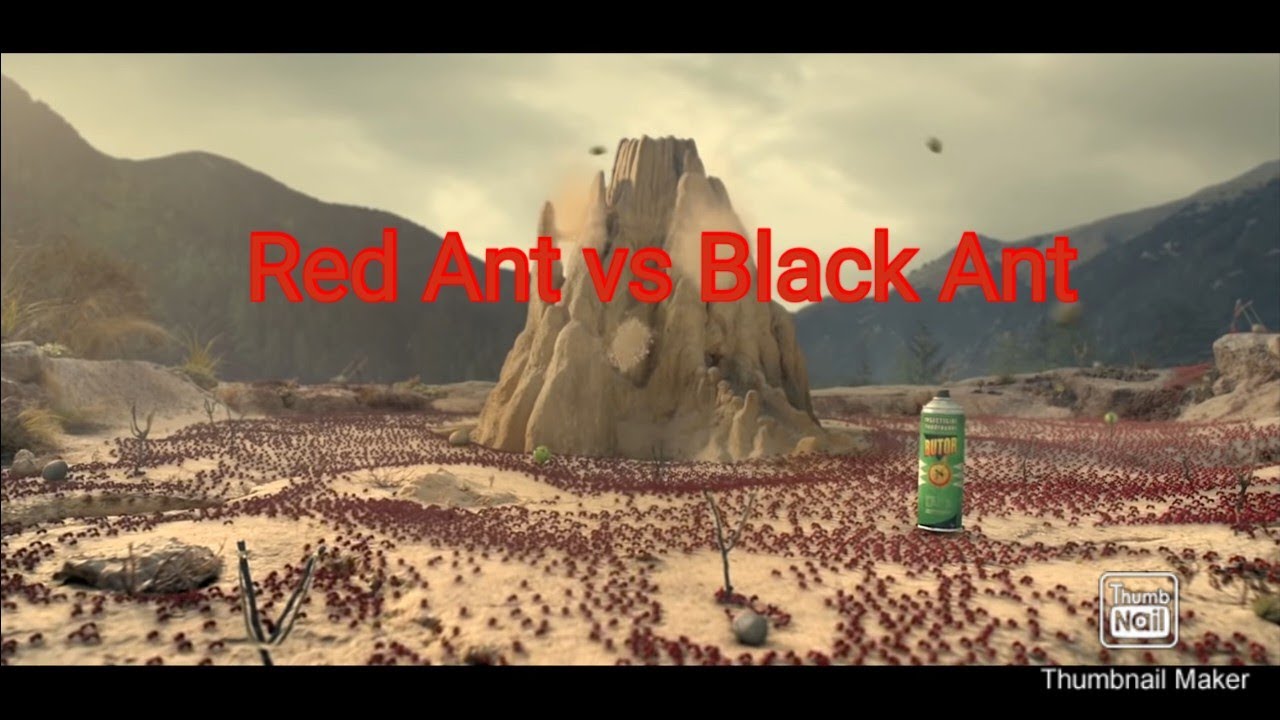 Red Ant vs Black Ant - 3 ll Movie Clip ll Fight Scene(2022) Full-HD ...