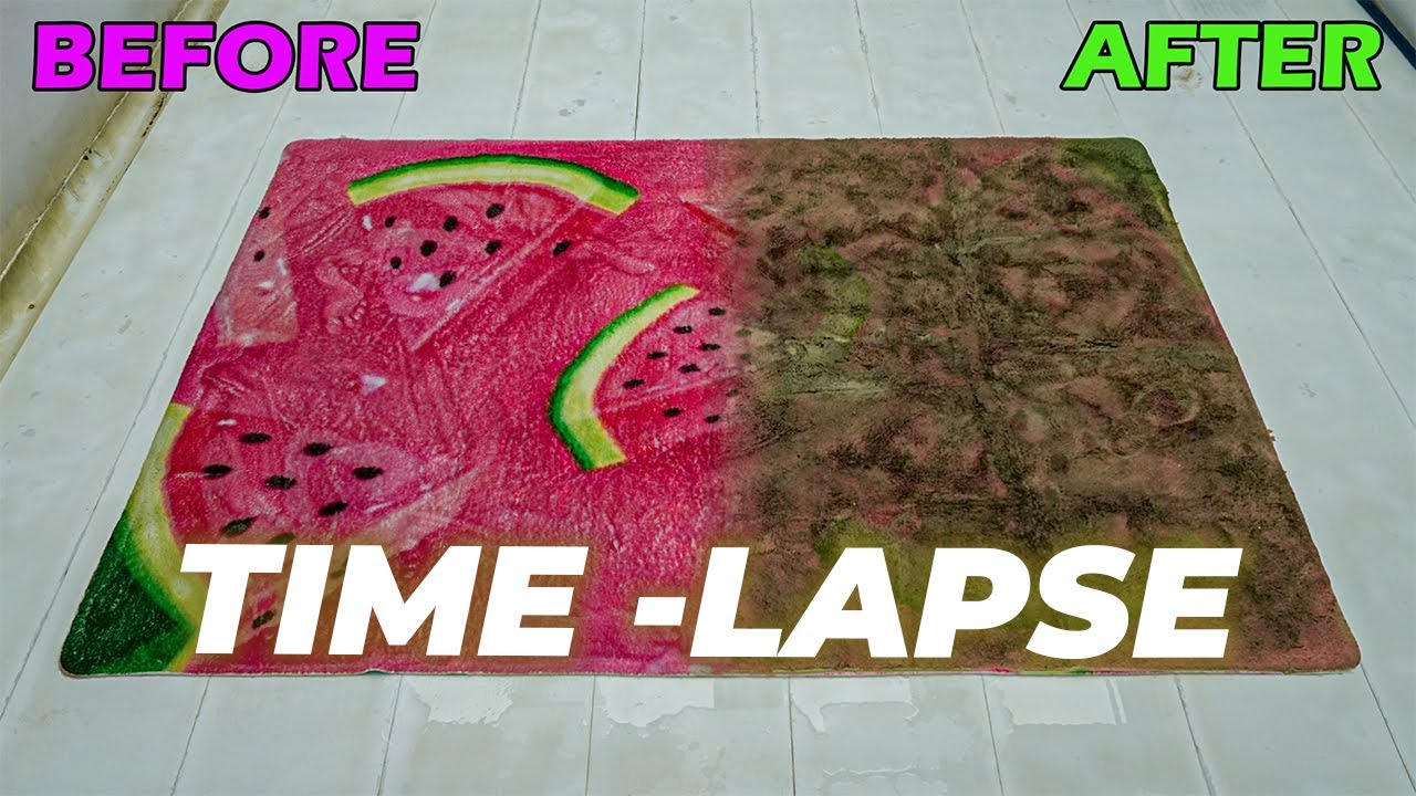 Super Dry Mud Mats! Can They Be Restored? Satisfying ASMR Carpet ...