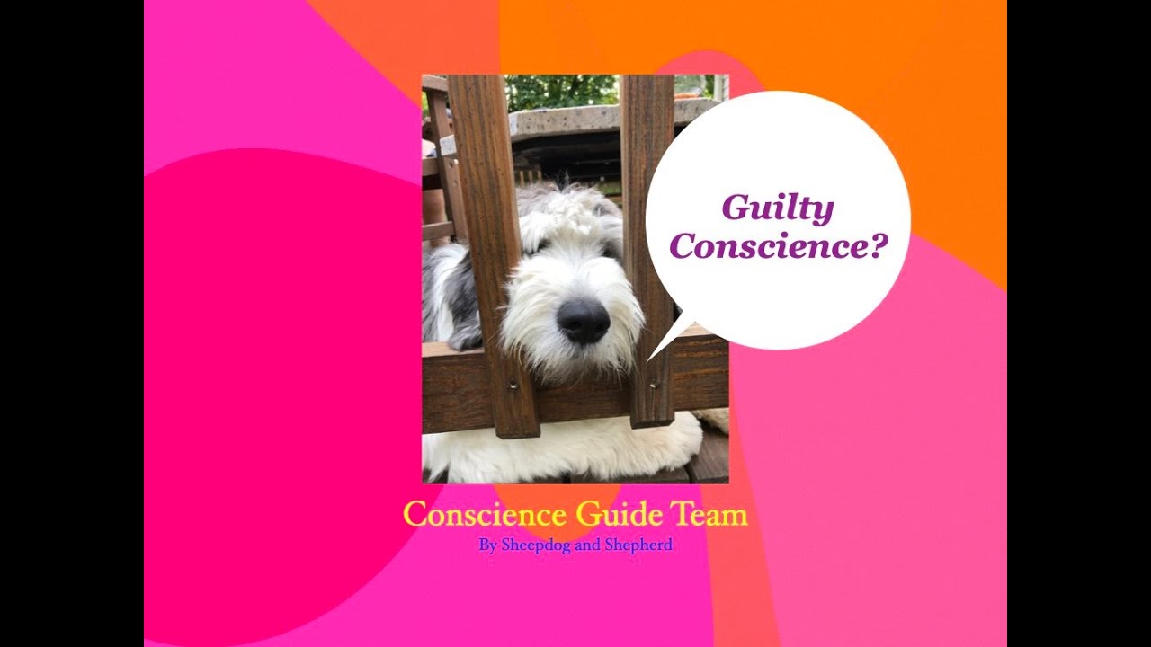 Conscience Guide Team - YouTube