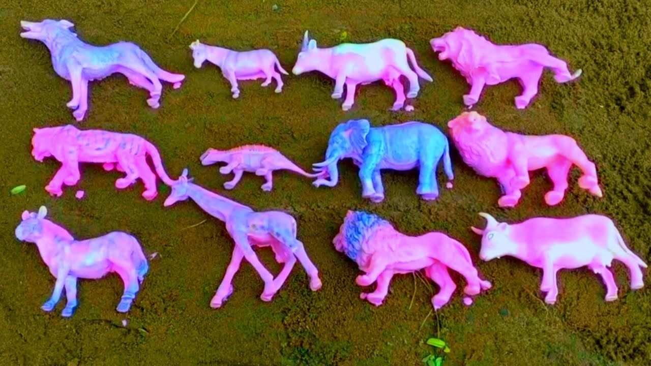 Membersihkan hewan sapi, jerapah, singa, rusa, gajah, kuda, zebra ...