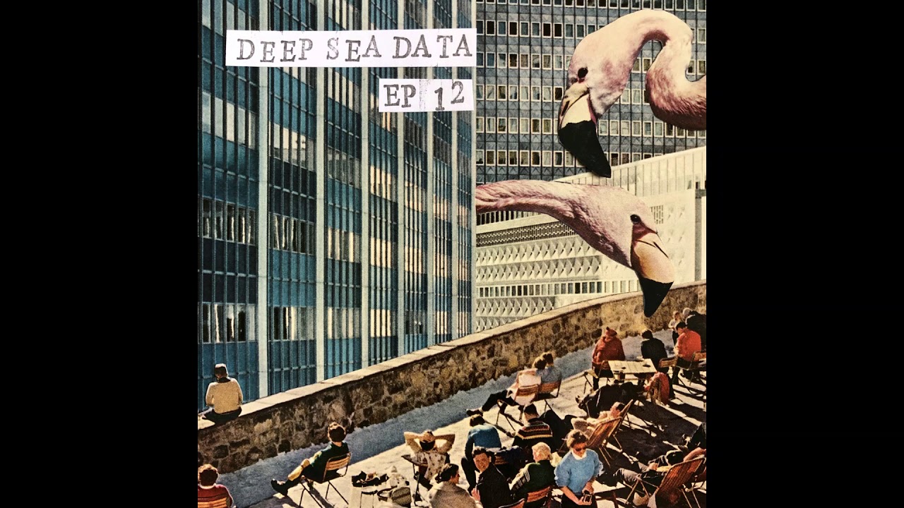 Deep Sea Data - Dance! - YouTube