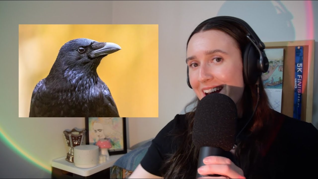 Crows Are Misunderstood | Zesty Thoughts Podcast | Episode 3 - YouTube