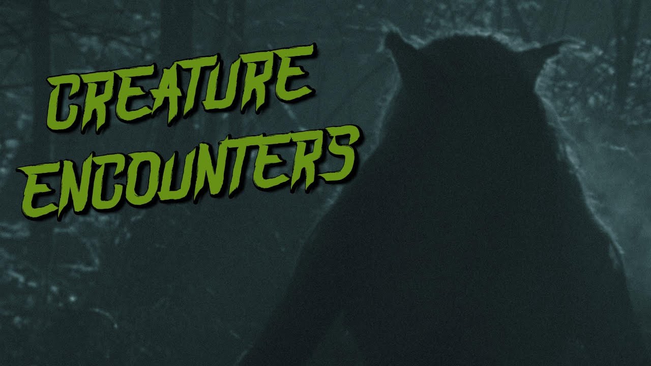 (3) Creepy Stories Submitted by Subscribers | CREATURE ENCOUNTERS #15 ...