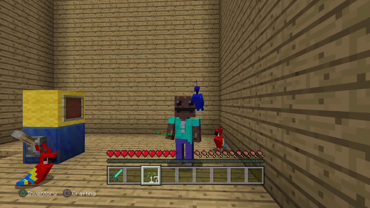 Minecraft: PlayStation®4 Edition_20180302125716 minion Stuart and puIi ...