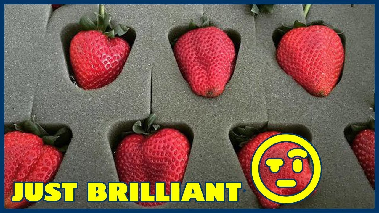 54 Times Product Packaging Was So Wrong, People Couldn’t Stay Silent ...