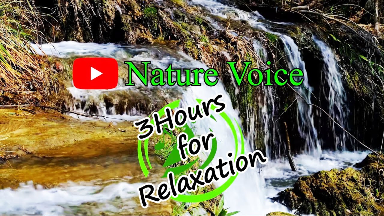 Relaxing##Nature# voice 3 Hours #river sound - YouTube