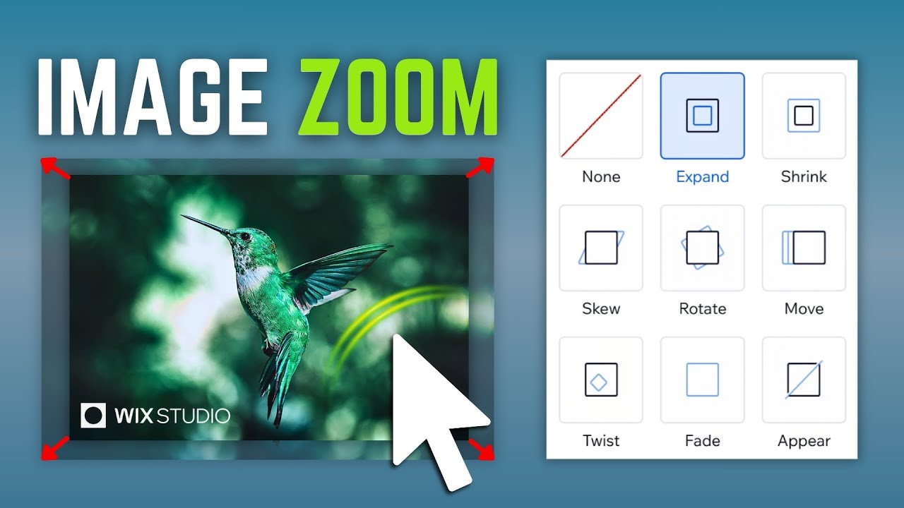 How To Make Image Zoom in Wix Studio | Hover Over Expand Effect - YouTube
