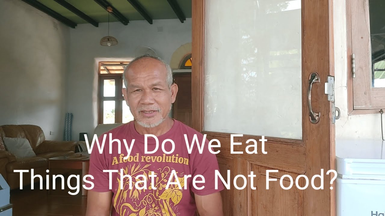 Why Do We Eat Things That Are Not Food? - YouTube
