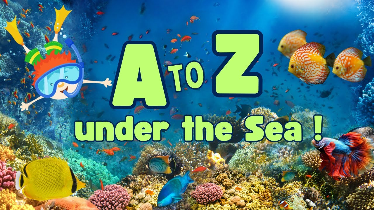 ABC Under the Sea: Let's Explore Fish with Easy Letters! #fish #abcd # ...