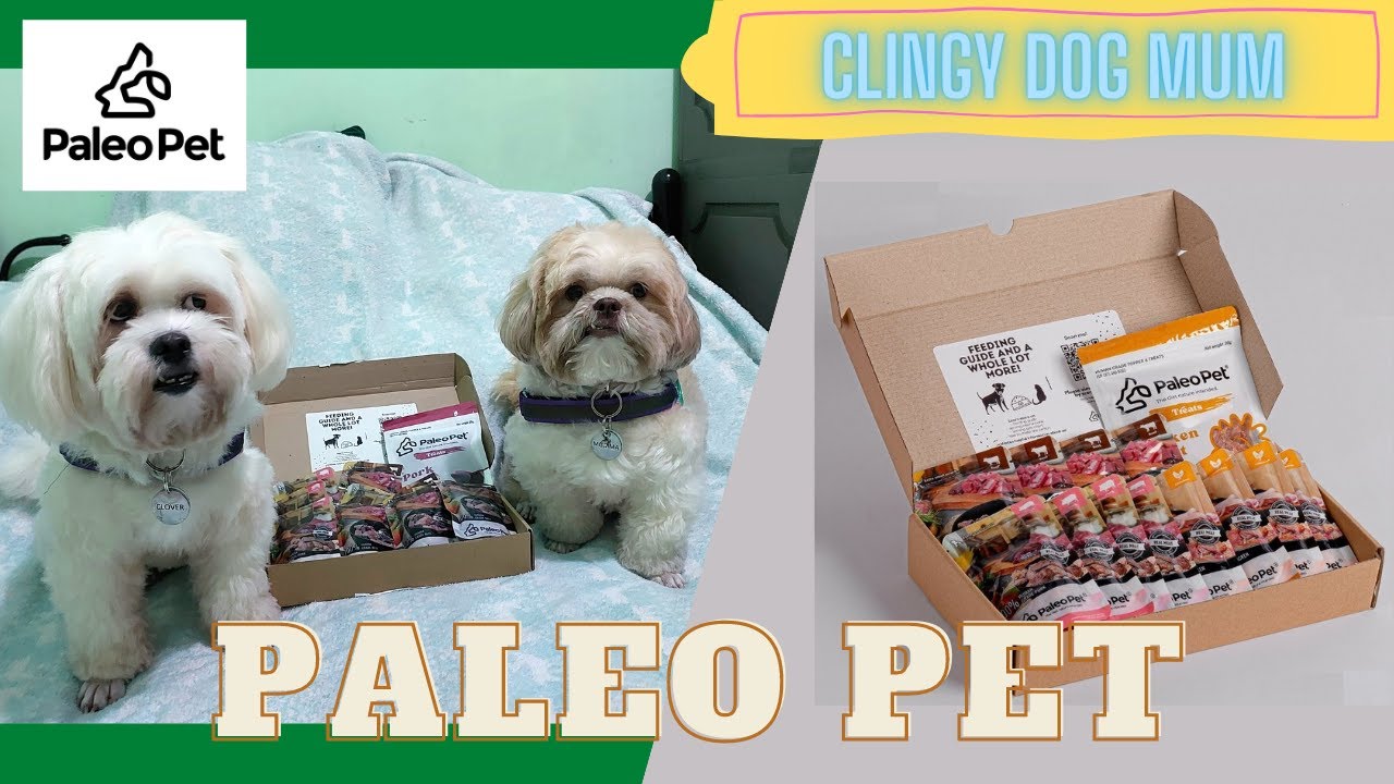 Paleo Pet | Another Healthy Food Option for our Maltese and Shih Tzu ...