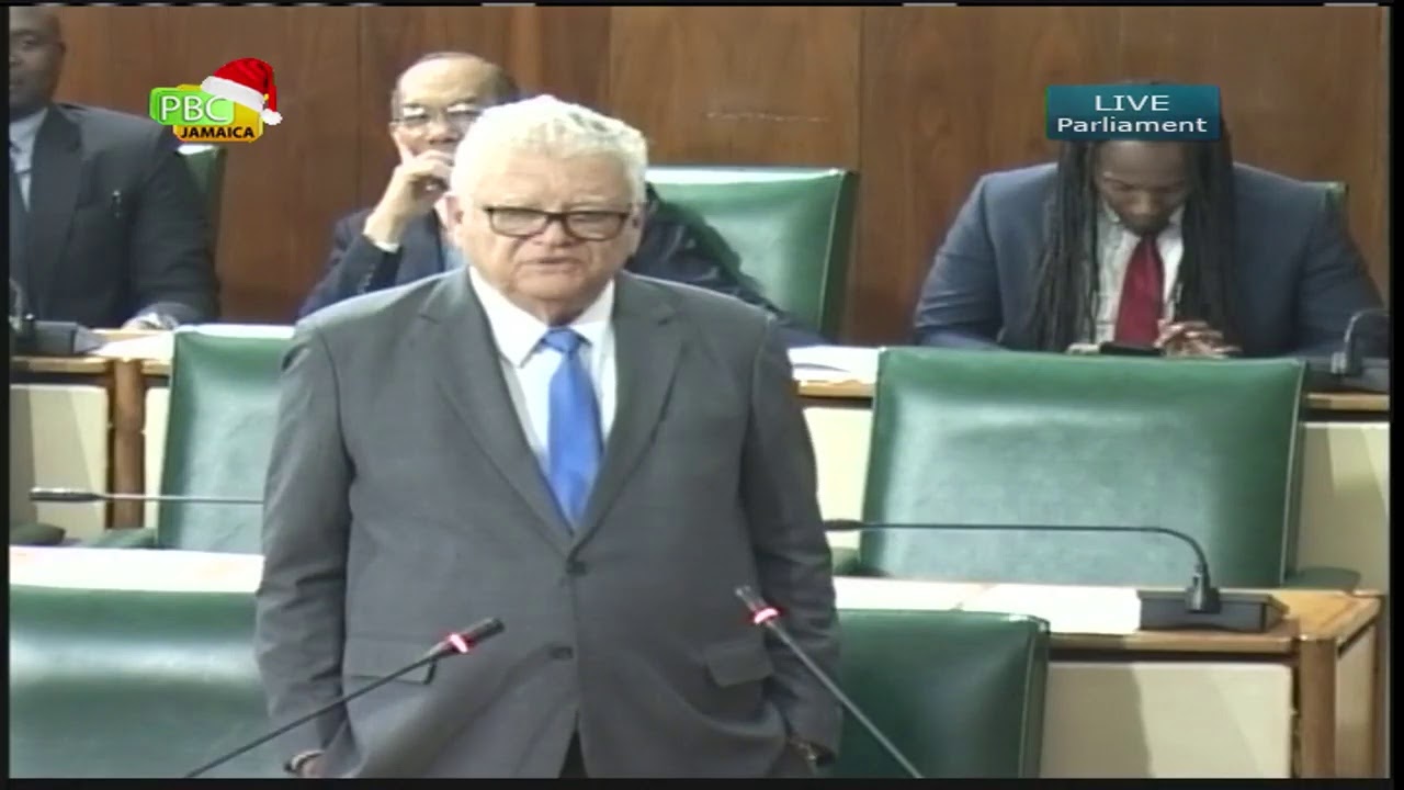 Sitting of the House of Representatives - December 10, 2019 - YouTube