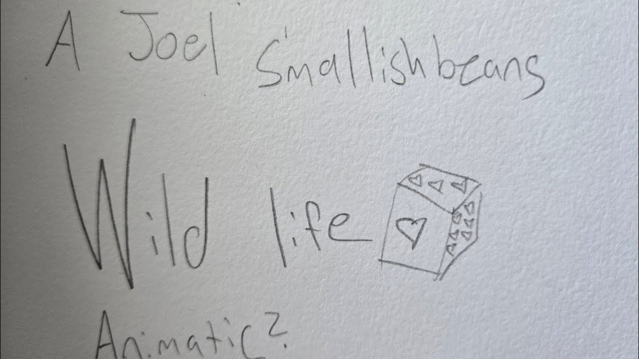 I own a Car! Joel Smallishbeans Wildlife Hand Drawn Animatic - YouTube