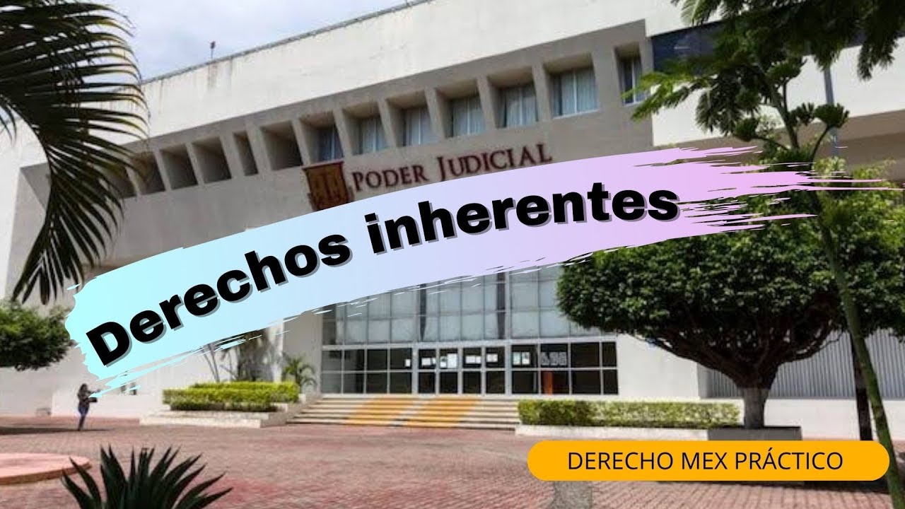 Derechos inherentes 👥🫂👥 Explicado en menos de 5 minutos ⚖🦉⚖ Derecho Mex ...