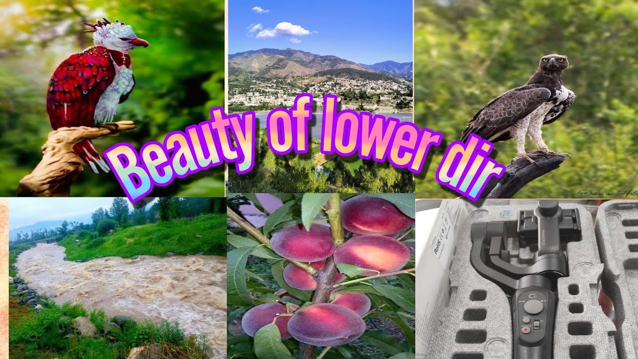 lower dir Rabat baroon valley khyber pokhtankhwa kpk garden Beauty ...