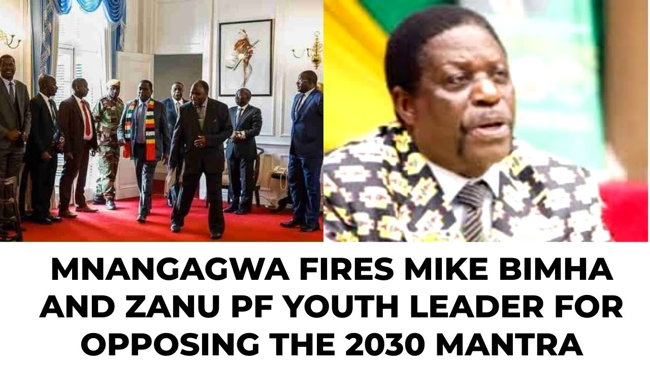 MNANGAGWA FIRES MIKE BIMHA AND A ZANU PF YOUTH LEADER FOR OPPOSING THE ...