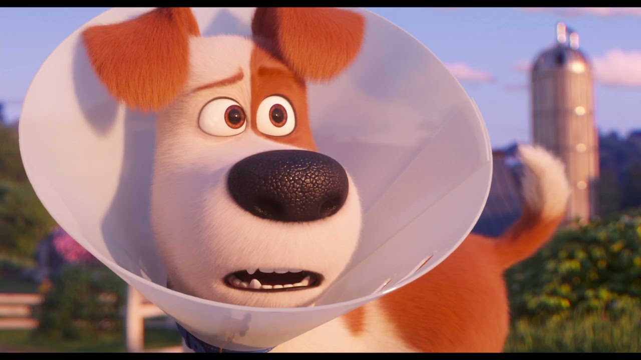 ΜΠΑΤΕ ΣΚΥΛΟΙ ΑΛΕΣΤΕ 2 / THE SECRET LIFE OF PETS 2 / TV Spot 1 Farm ...
