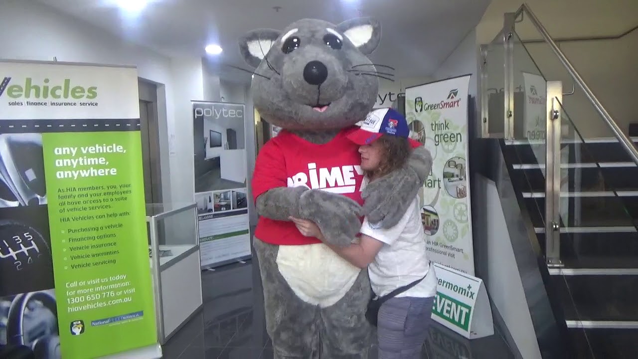 Me Giving A Great Big Hug With Prime7 Possum - YouTube
