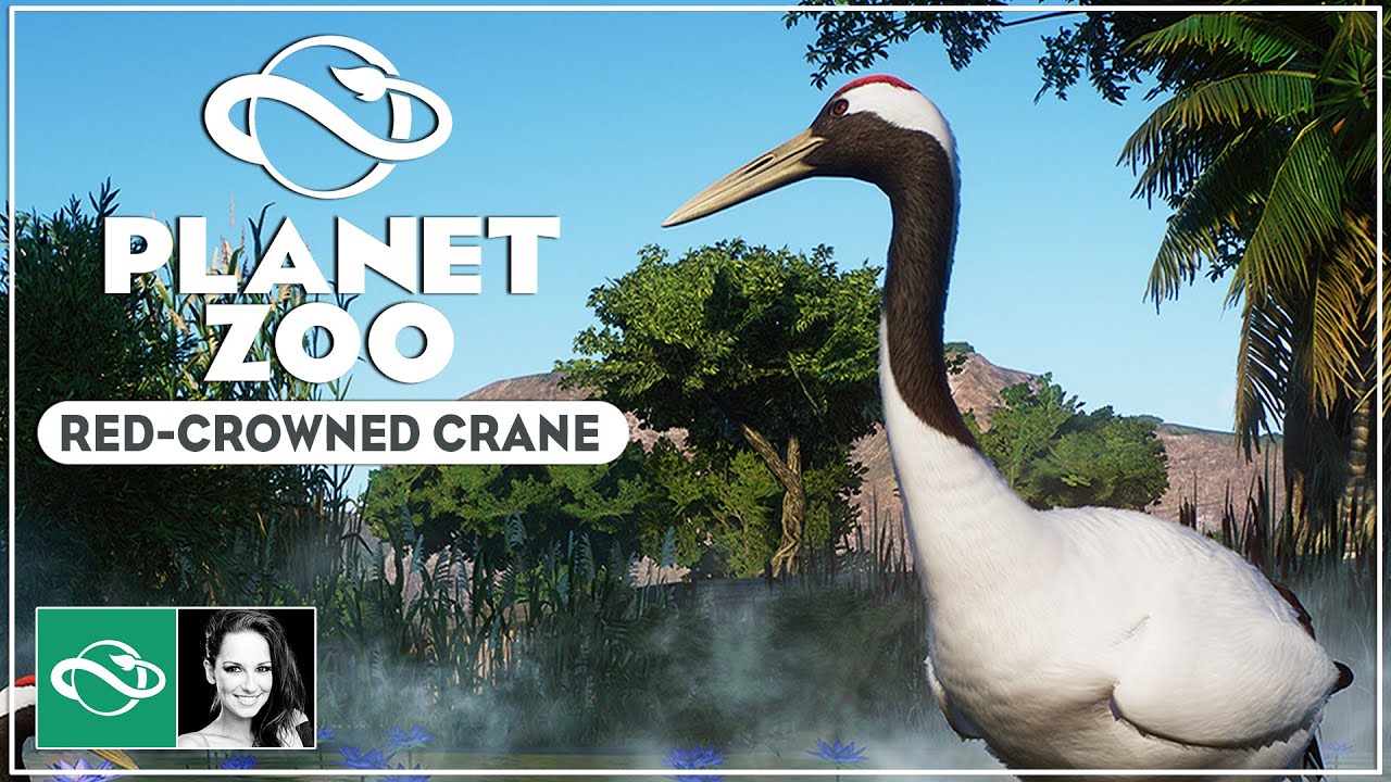 Red-Crowned Crane & Capybara | Screenshot Reveals | Planet Zoo Wetlands ...