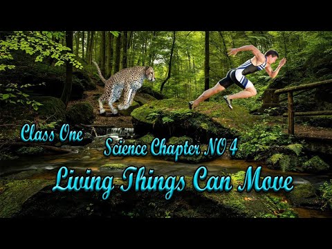 Living Things Can Move | Chapter no 4 of Science | Class One Science ...