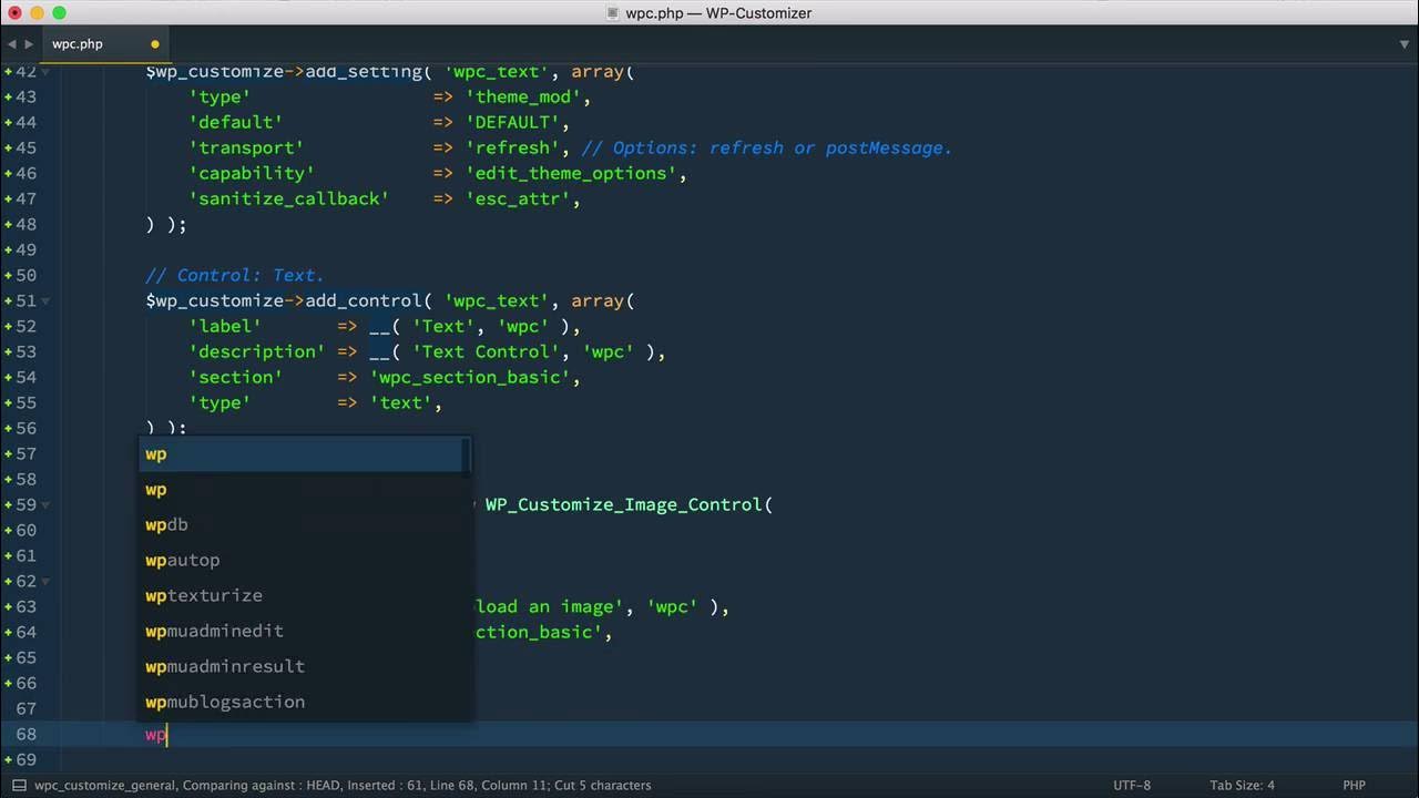 Sublime Package for WordPress Customizer - YouTube