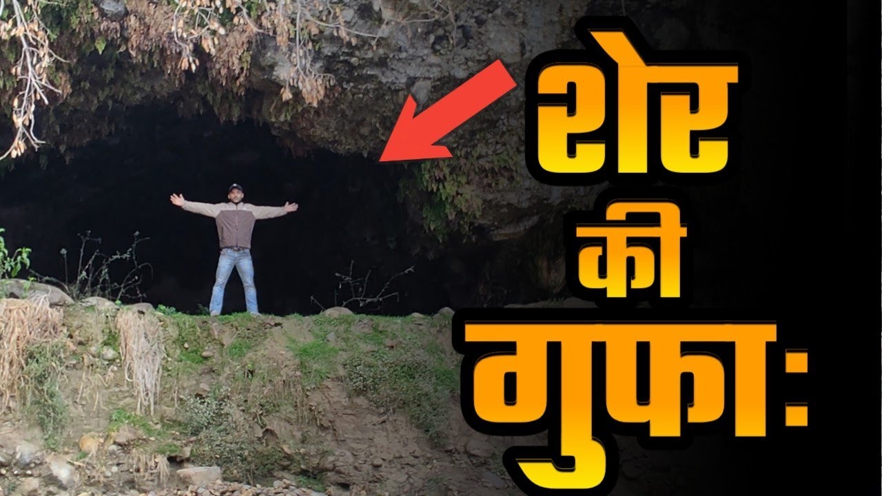 Going Inside Cheetah Cave 🐆🥵 | Very Scary Video 🥶 - YouTube