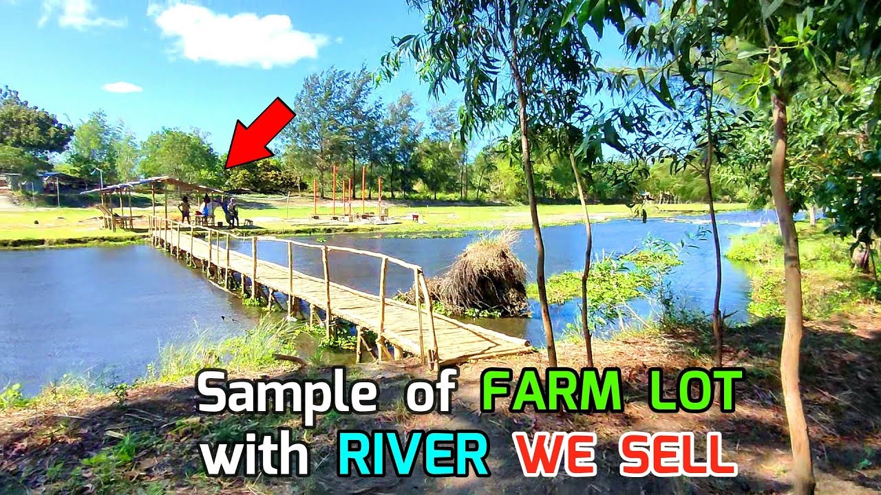 Farm Lot for sale in Philippines with River | 10 mins away to Town ...