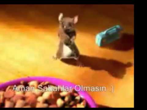 Halay Çeken Kıvırtak Fare (Yapım Berkay Akçay)
