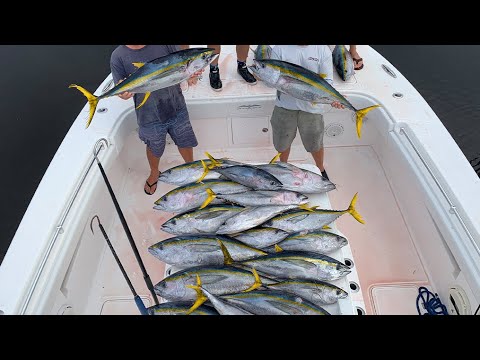 Yellowfin Tuna Slay... WE LIMITED OUT! (Tuna Fishing) - YouTube