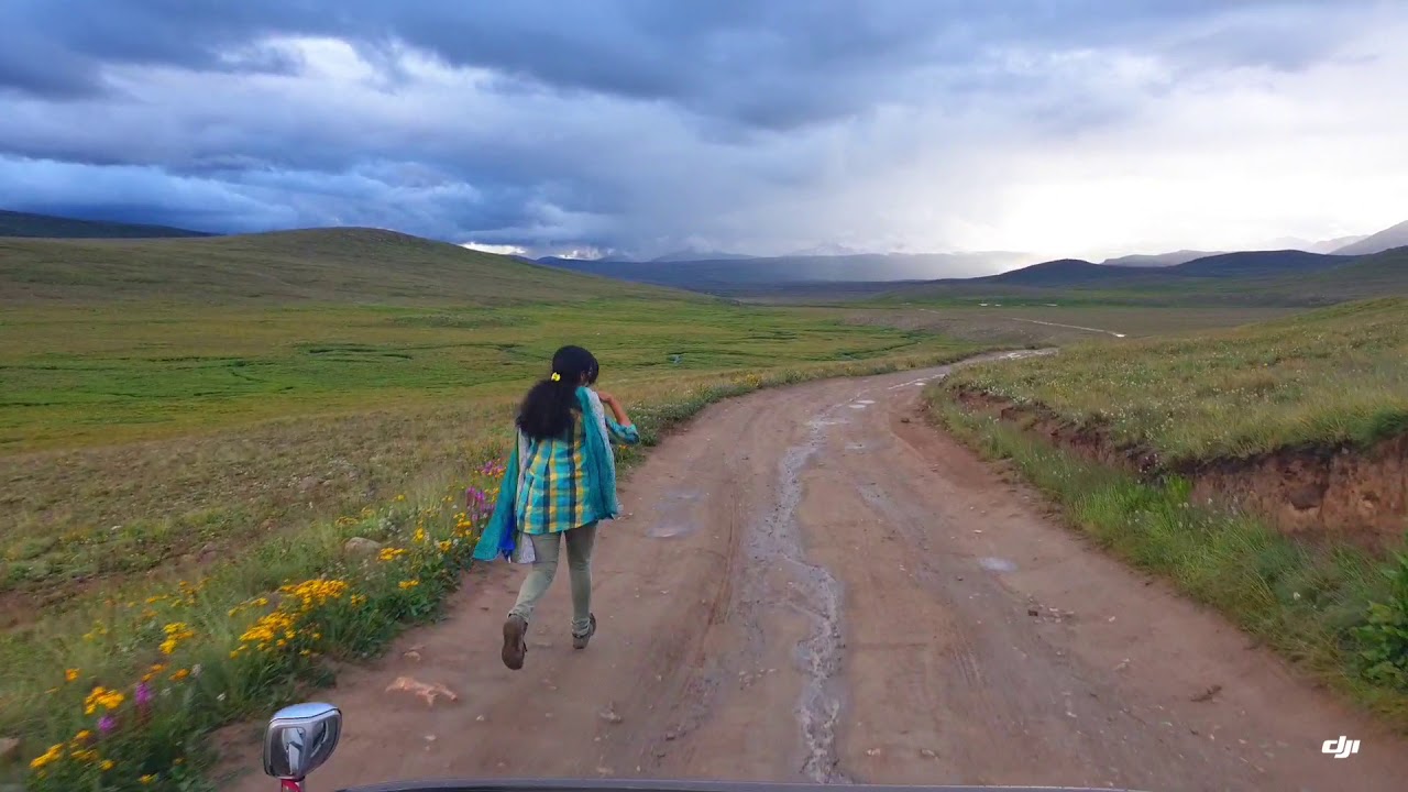 The amazing spring of deosai.. - YouTube
