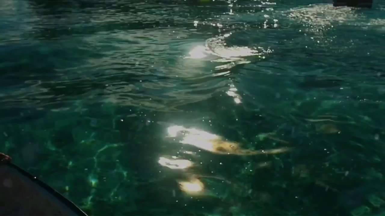 The Ocean - Nathaniel Hawthorne - YouTube