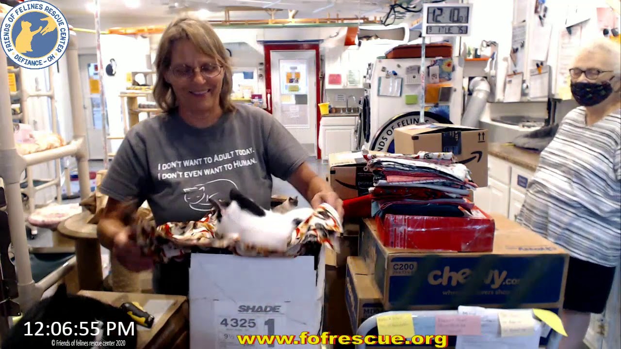 FFRC Boxes and Updates 09-01-2020 PART 1 Friends of Felines Rescue ...