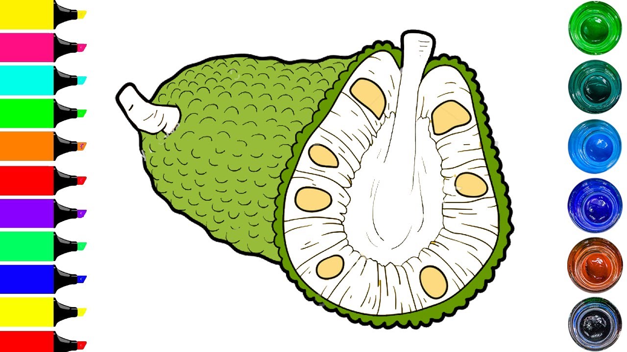 How to draw Jackfruit || Easy Jackfruit drawing - YouTube