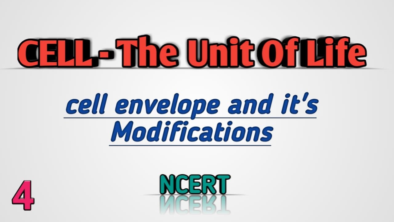Cell Envelope and It's Modifications | CELL-THE UNIT OF LIFE | NEET ...