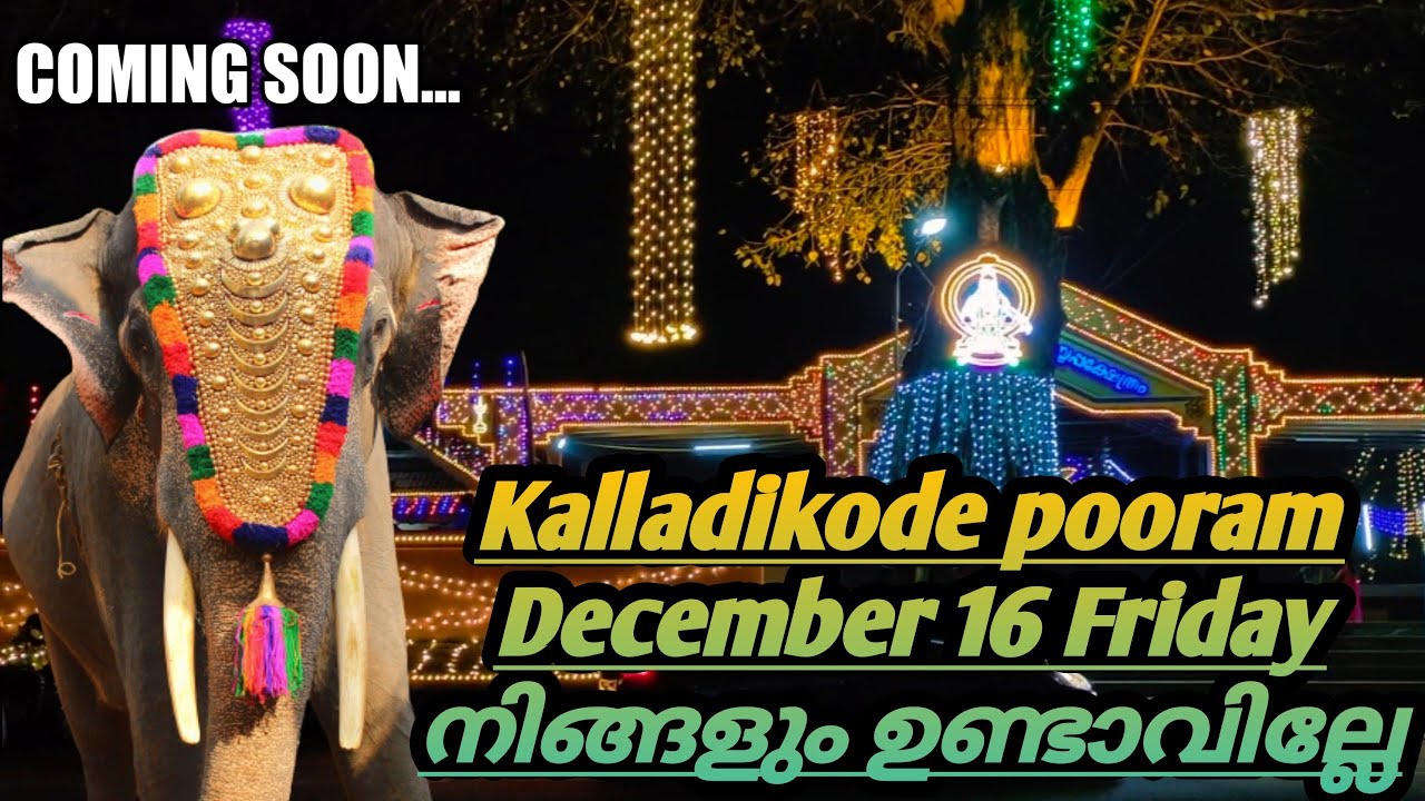 kalladikode pooram December 16 Friday നിങ്ങളും ഉണ്ടാവില്ലേ🤗#pooram # ...