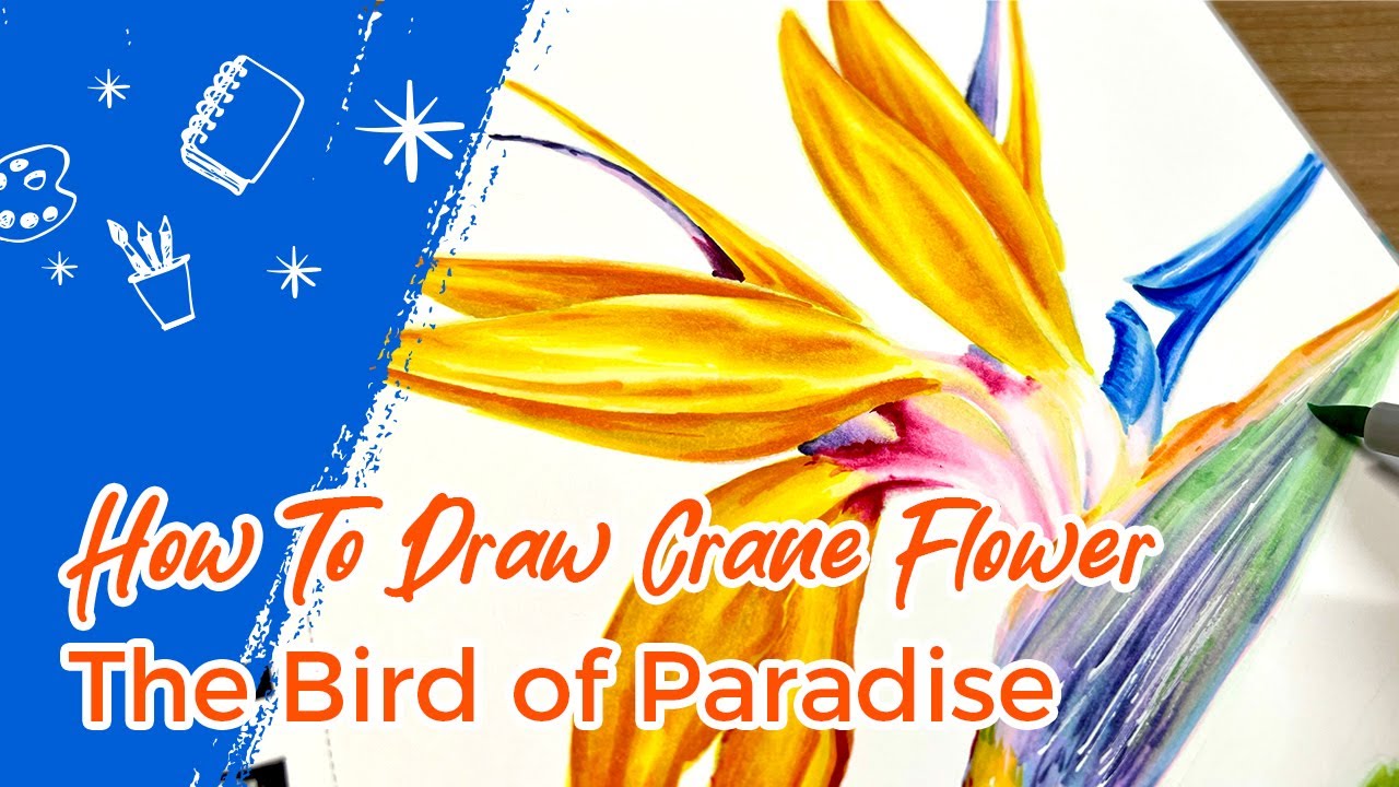 How to Draw a Bird of Paradise Flower with Markers - YouTube