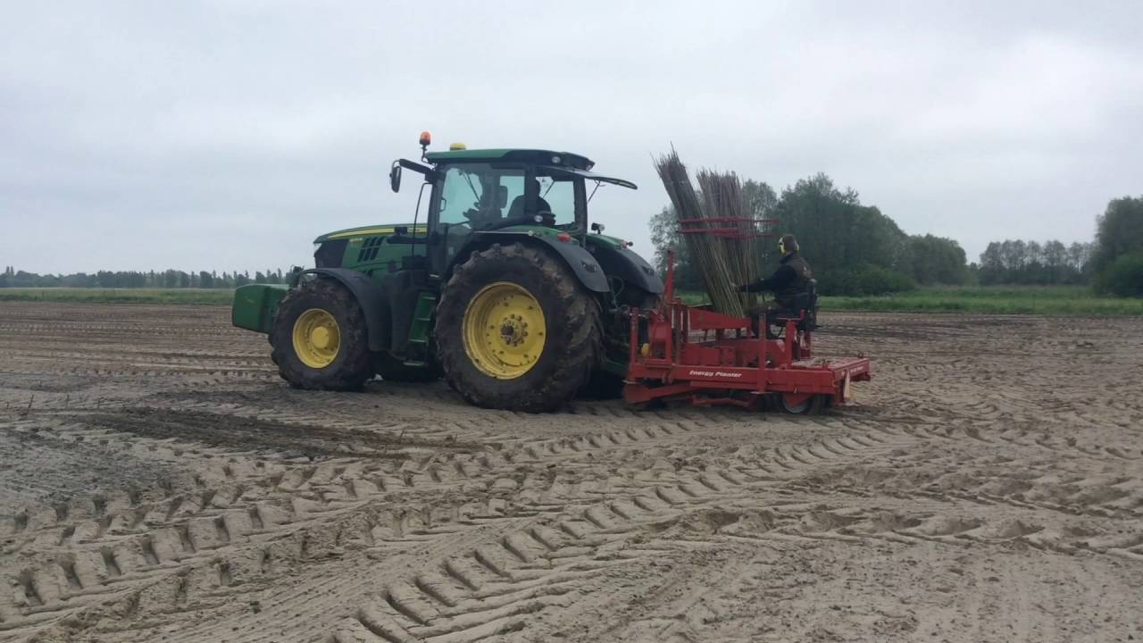 Aarhus Vand planter energipil - YouTube